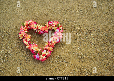 Plumeria cultivar, Frangipani, West Indian jasmine, Monoi, Pink Stock ...