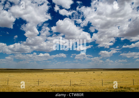 The wide open plains of eastern Colorado have yet to come alive on this ...