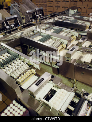 Automated egg processing equipment at a poultry farm helps to ...