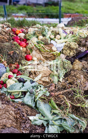 Rotting vegetables on a compost heap Stock Photo - Alamy