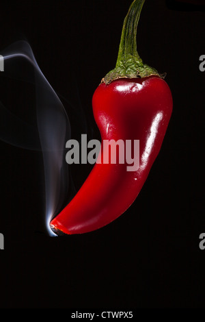 Hot chili red pepper smoking on a fork. Spice concept. Copy space Stock ...
