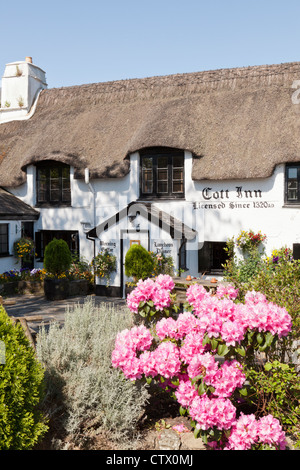 The famous Cott Inn at Dartington, Devon UK - one of the oldest ...