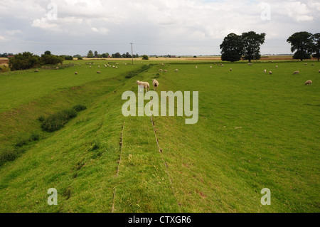 Stonea Camp Cambridgeshire Stock Photo - Alamy