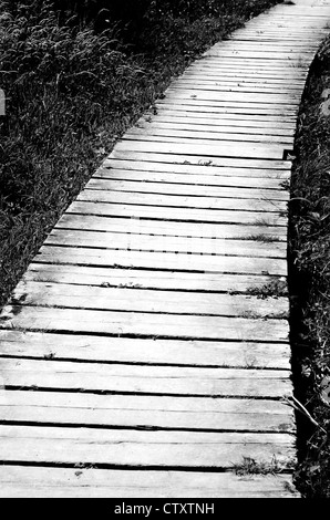 Wooden pathway Cornwall UK Stock Photo - Alamy