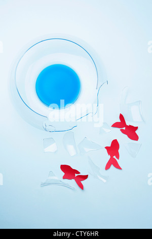 Red goldfishes and a broken fishbowl Stock Photo - Alamy