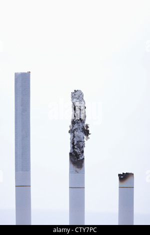 A long cigarette and a short cigarettes Stock Photo - Alamy