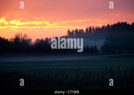 Sunset over a misty forest and field Stock Photo - Alamy