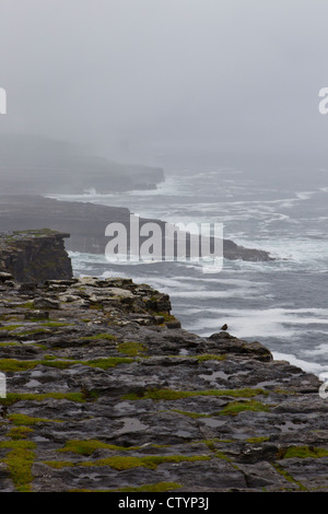 Rough ocean with high cliff monochrome landscape photo Stock Photo - Alamy