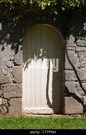 Wisteria and shadow Stock Photo - Alamy