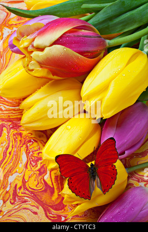 Springtime tulips and red butterfly Stock Photo - Alamy