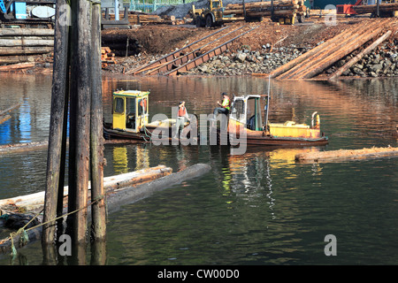 log boom tugboat operator at Gold River logging operation Stock Photo ...