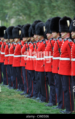 A photograph of the Canadian Grenadier Guards performing a military ...