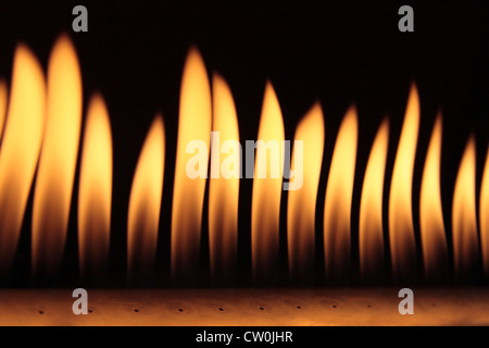 Methane gas burning bright yellow/orange in a line of single flames ...