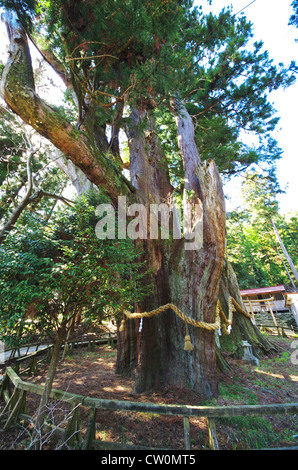 Kouchi Prefecture in Japan Stock Photo - Alamy