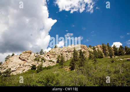 A reef of rocks forms a backdrop in the Spanish Peaks Wilderness Area ...
