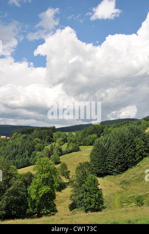landscape of mountain of forez Stock Photo - Alamy