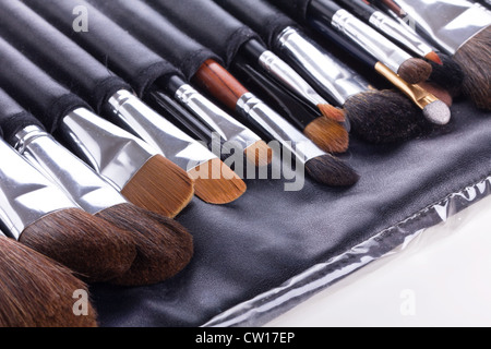 Make-up brushes in compact case Stock Photo - Alamy