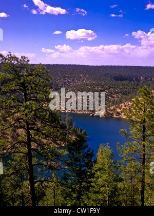 Chevelon Canyon Lake, Mogollon Rim. Apache-Sitgreaves National Forest ...