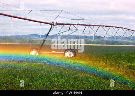 Center pivot irrigating peppermint field. Oregon Stock Photo - Alamy