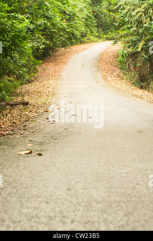 Uphill paved road in a forest with a clear sky with clouds clearly ...