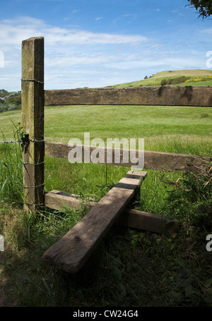 Wooden gate on a hiking path in the Yorkshire Dales, England, UK Stock ...