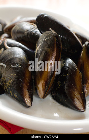 Australian blue mussels Stock Photo - Alamy