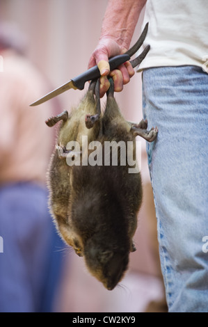 Man skinning a muskrat at the National Outdoor Show and World Muskrat ...