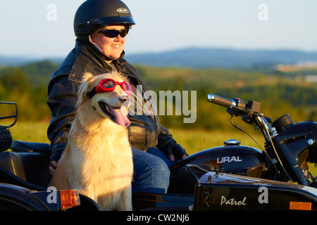 Golden Retriever Riding in Motorcycle Sidecar Stock Photo - Alamy