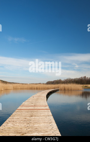 Wooden platforms in nature water lake Stock Photo - Alamy