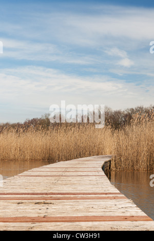 Wooden platforms in nature water lake Stock Photo - Alamy