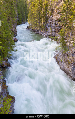 USA, Washington State, Stehekin, Agnes Gorge Trail, Waterfall Stock ...