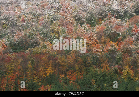 Snow on Autumn Trees Allegheny Mountains Stock Photo - Alamy