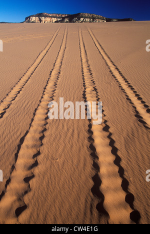 Off-road vehicle in the sand dunes, desert safari, desert Rimal Wahiba ...