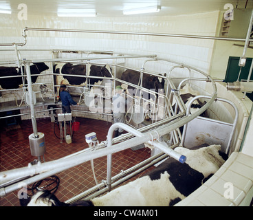 CAROUSEL MILKING PARLOR / PENNSYLVANIA Stock Photo, Royalty Free Image ...