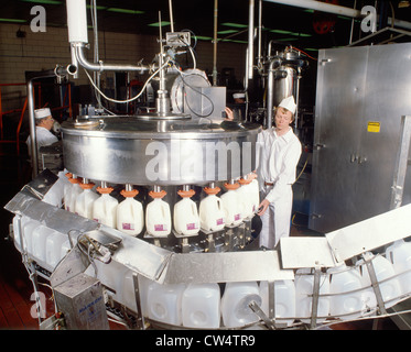 Dairy operator filling one gallon bottles, pasteurized homogenized milk ...