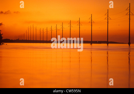 Telephone lines at Key West FL Stock Photo - Alamy