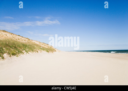Panoramic view of the beach, Cape Cod, Massachusetts, USA Stock Photo ...