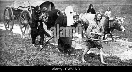 Turkish people fleeing the advancing Bulgarian army (1912 Stock Photo ...