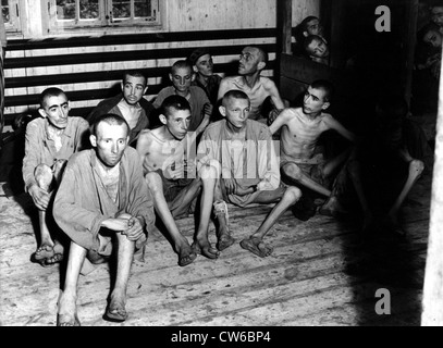 Ebensee Concentration camp liberated (1945 Stock Photo - Alamy