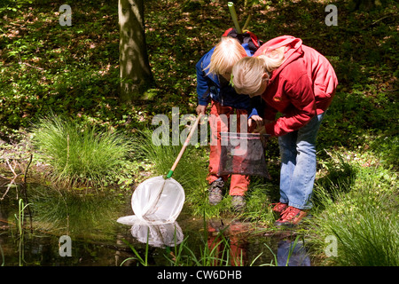 two boys with dip nets at a pond in spring Stock Photo - Alamy