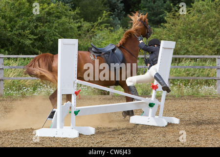 Horse refuse to jump and dismount his rider over the obstacle Stock ...