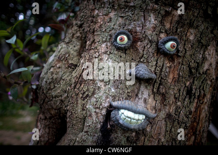 Tree trunk with eyes, nose, and mouth, Burlington, Ontario Stock Photo ...