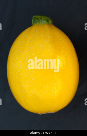 Round Yellow Courgette Stock Photo - Alamy