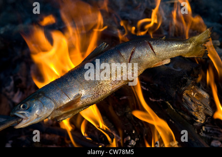 Fish barbecue over a campfire Stock Photo: 103591704 - Alamy
