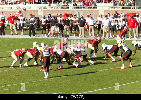 Florida State University Seminoles quarterback Chris Rix (16) during an ...