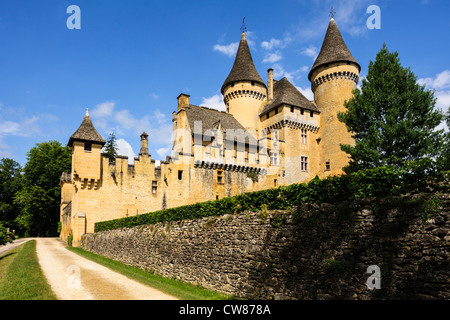 Puymartin Castle, Dordogne, Nouvelle-Aquitaine, France Stock Photo - Alamy