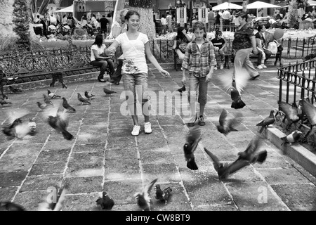 girl playing and chasing pigeons in city square Stock Photo - Alamy