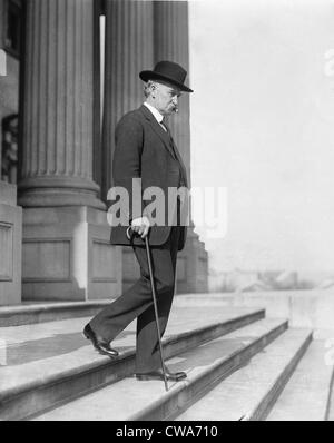 Albert B. Fall (1861-1944), Secretary of the Interior under the Harding ...