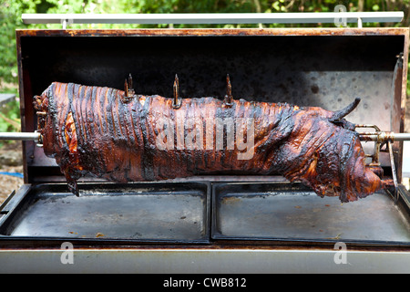 A Hog Roast Stock Photo - Alamy
