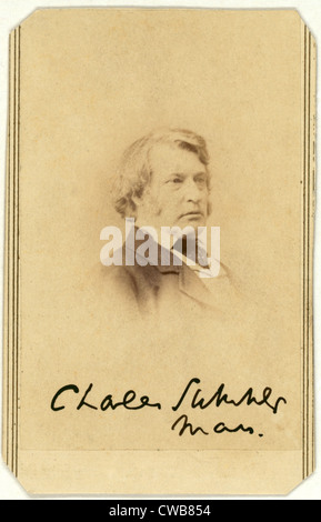 Carte-de-visite portrait of Charles Sumner 1860s Stock Photo - Alamy